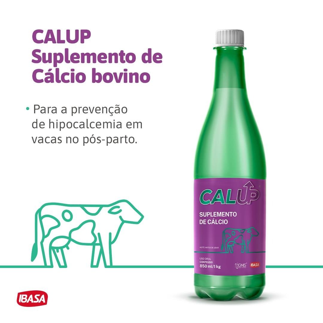 CALUP - SUPLEMENTO DE CÁLCIO - 850 ML