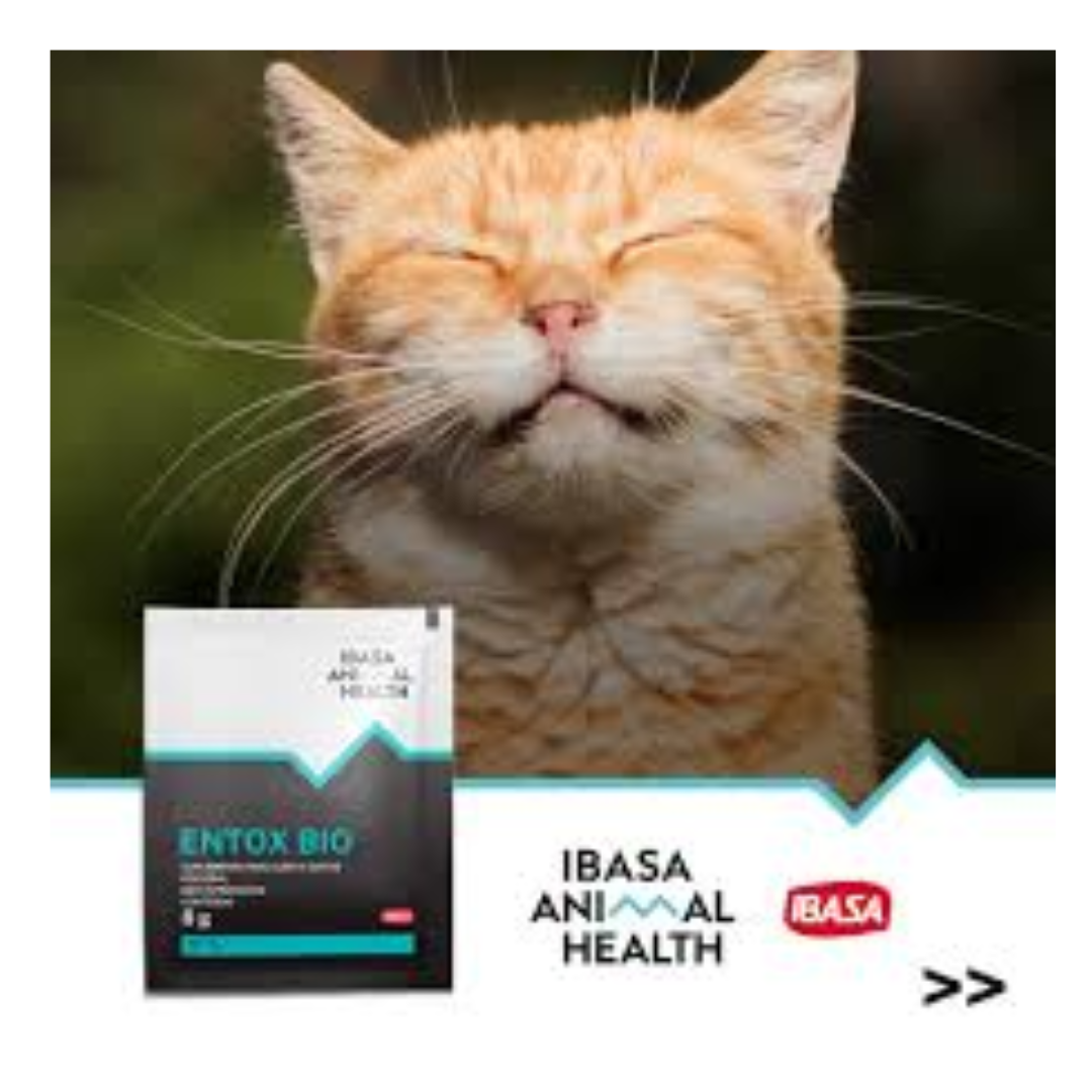 ENTOX BIO ANIMAL HEALTH 8G - IBASA Único